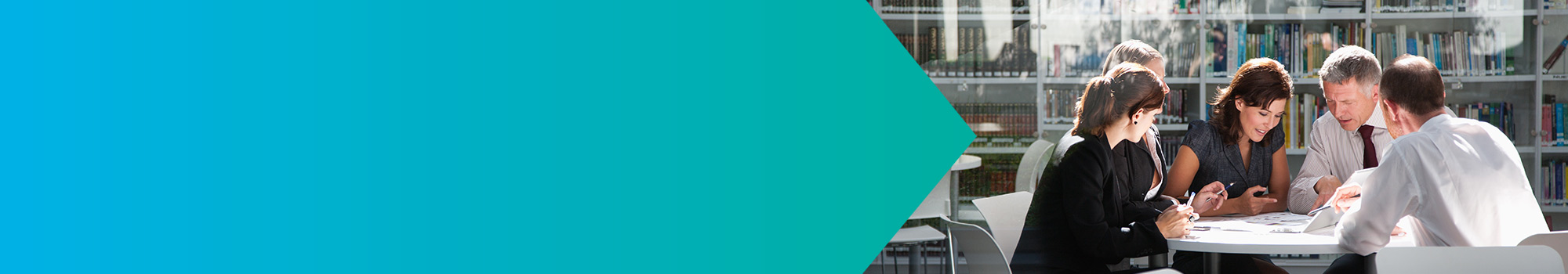 Company Information | Deltek Solutions